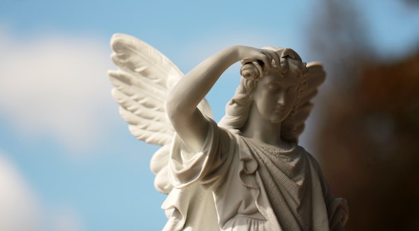 Rising Stars And Falling Angels Of The Platform World: Adviser Ratings ...
